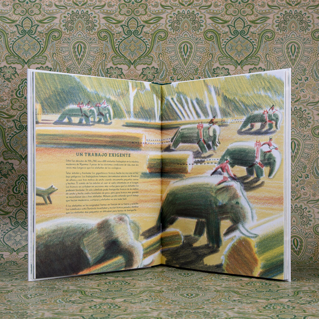 Bandoola. El gran rescate de los elefantes - Libros del Zorro Rojo